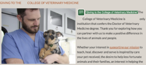 Alternative text in the wild: 5 alternative text examples - Pope Tech Blog