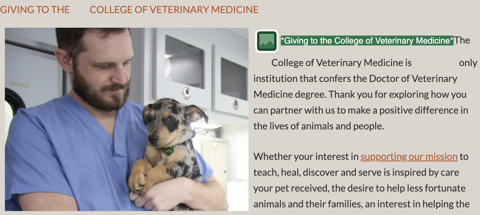 Alternative text in the wild: 5 alternative text examples - Pope Tech Blog