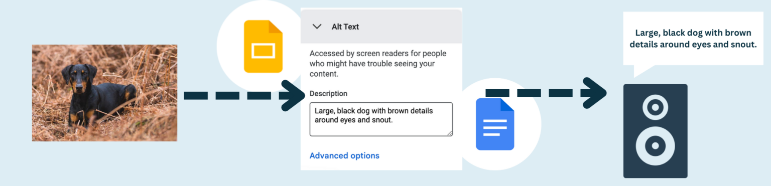Alt text in Google Docs and Slides - Pope Tech Blog