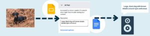 Alt text in Google Docs and Slides - Pope Tech Blog